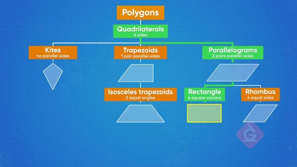 Classify Shapes in a Hierarchy | Math Lesson For Kids | Grades 3-5 Classify Shapes in a Hierarchy | Math Lesson For Kids | Grades 3-5