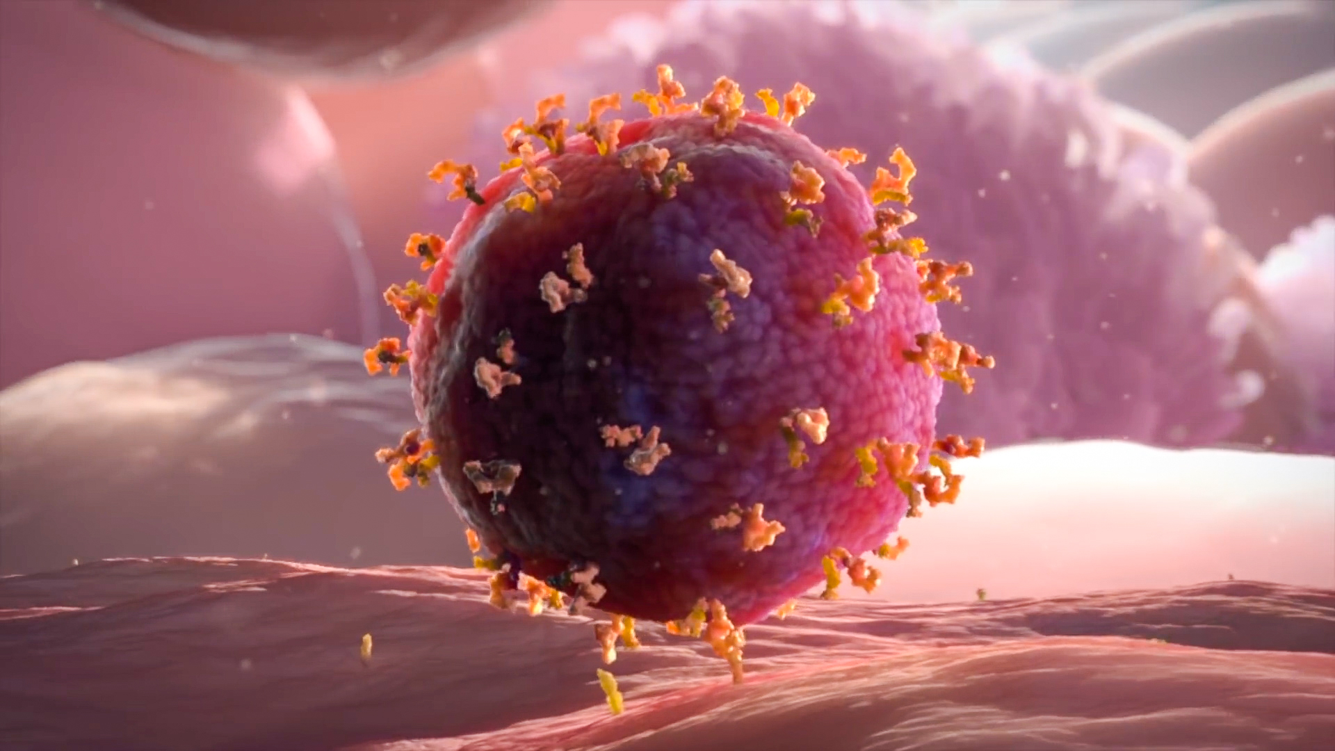 Video de bacterias y virus para niños | Ciencias para 6°, 7° y 8° grado