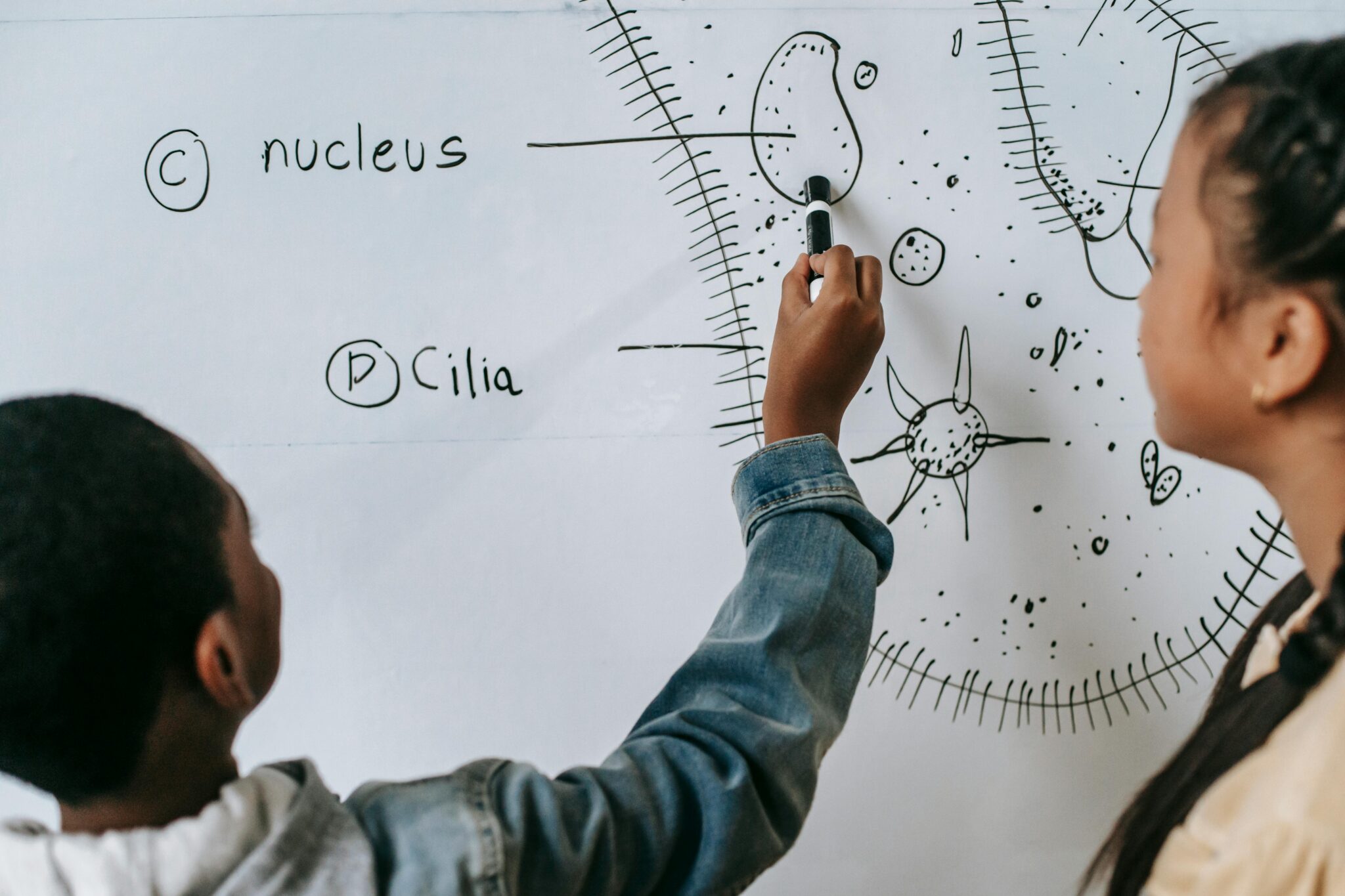 10+ Substitute Teacher Activities To Engage Any Classroom