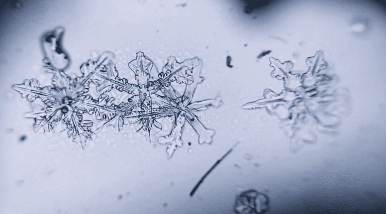 Winter STEM Challenges & Forces Lessons for Grades K-5