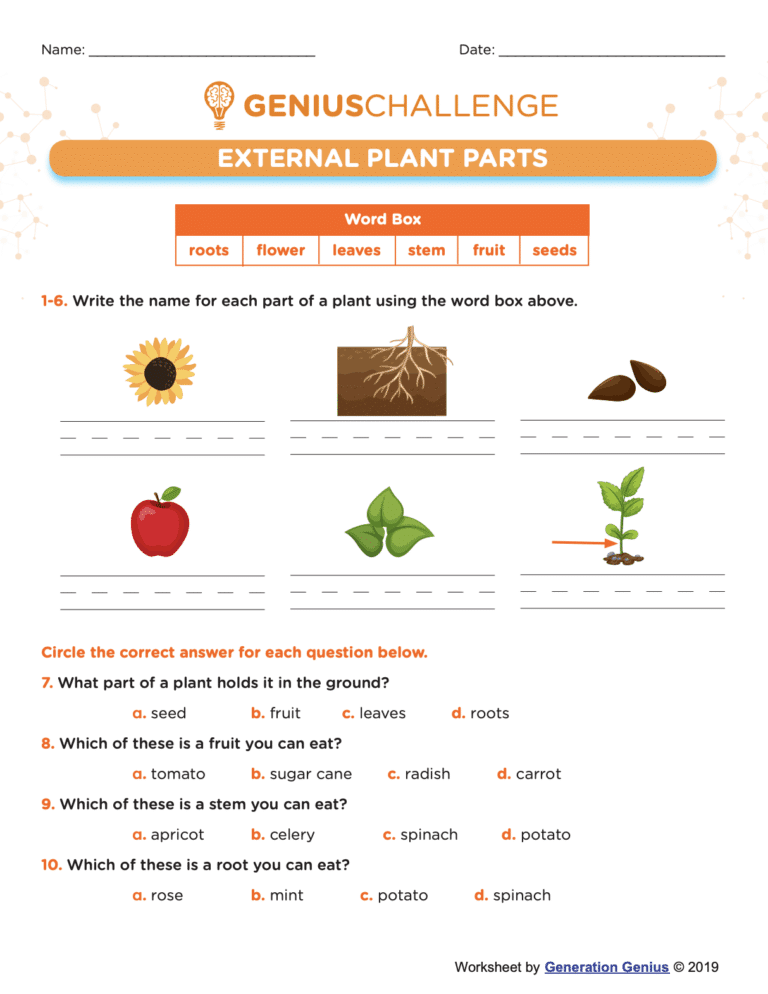 Spring into Life Cycles Science Resources for Kids K-8 | Generation Genius