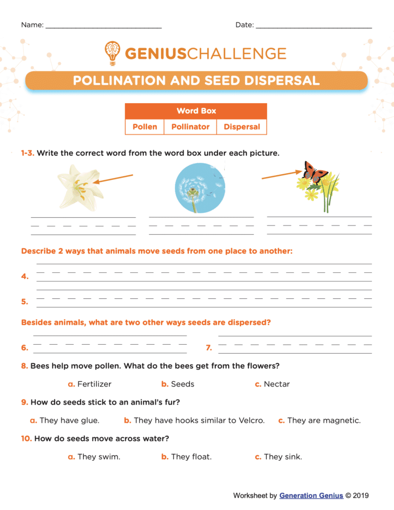Spring into Life Cycles Science Resources for Kids K-8 | Generation Genius