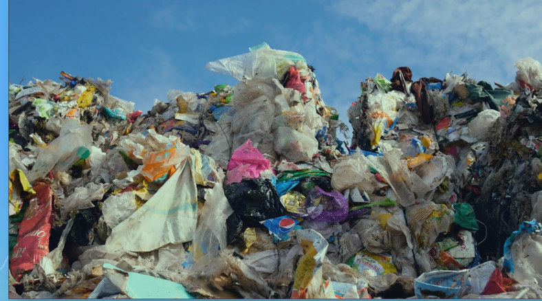 Earth Month Conservation Science Lessons & DIY Activities (K-2)